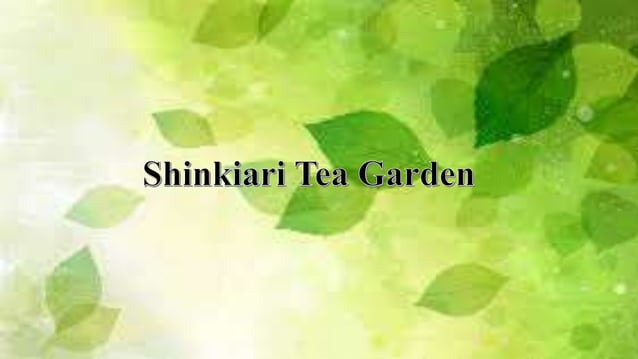 Shinkiari Tea Garden | PPTX
