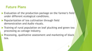 Shinkiari Tea Garden | PPTX