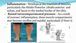 Shin pain shin splint | PPTX