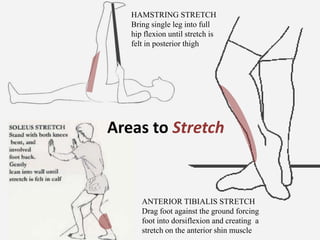 Shin splint presenta | PPT