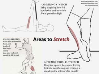 Shin Splint Presentation | PPTX