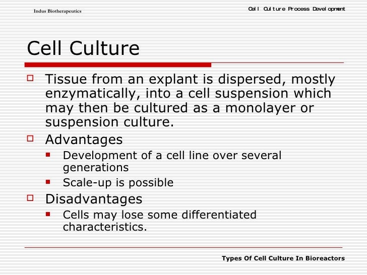 Cell Culture BASICS