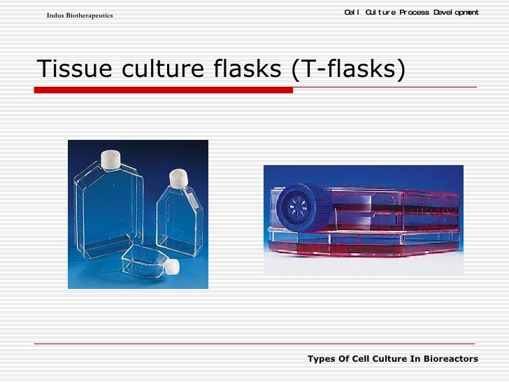 Cell Culture BASICS Cell Culture BASICS