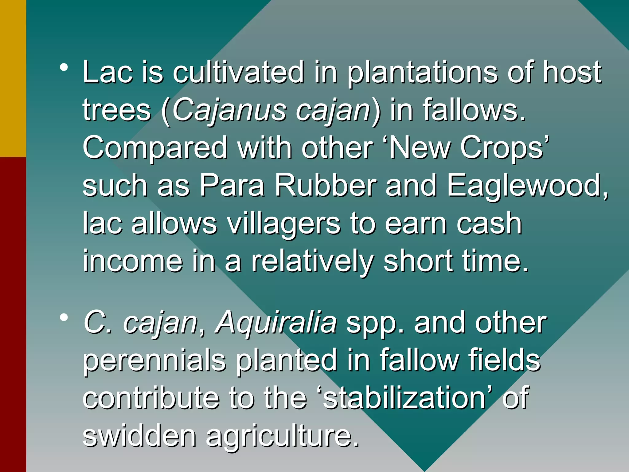 Mapping a full cycle of swidden cultivation in a Khmu village and its ...