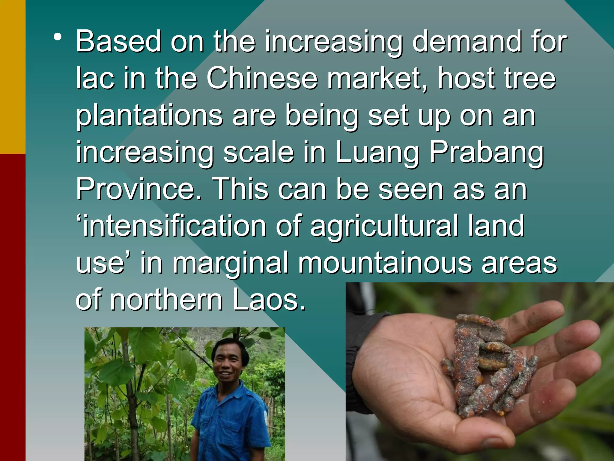 Mapping a full cycle of swidden cultivation in a Khmu village and its ...