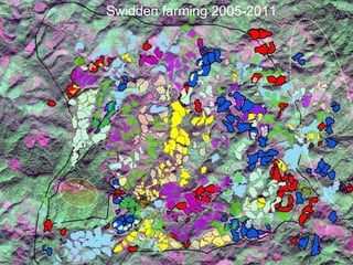 Mapping a full cycle of swidden cultivation in a Khmu village and its ...