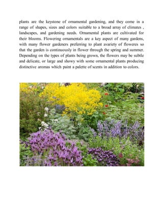 online assignment | DOCX | Agriculture | Industries