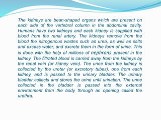 excretory organs | PPTX