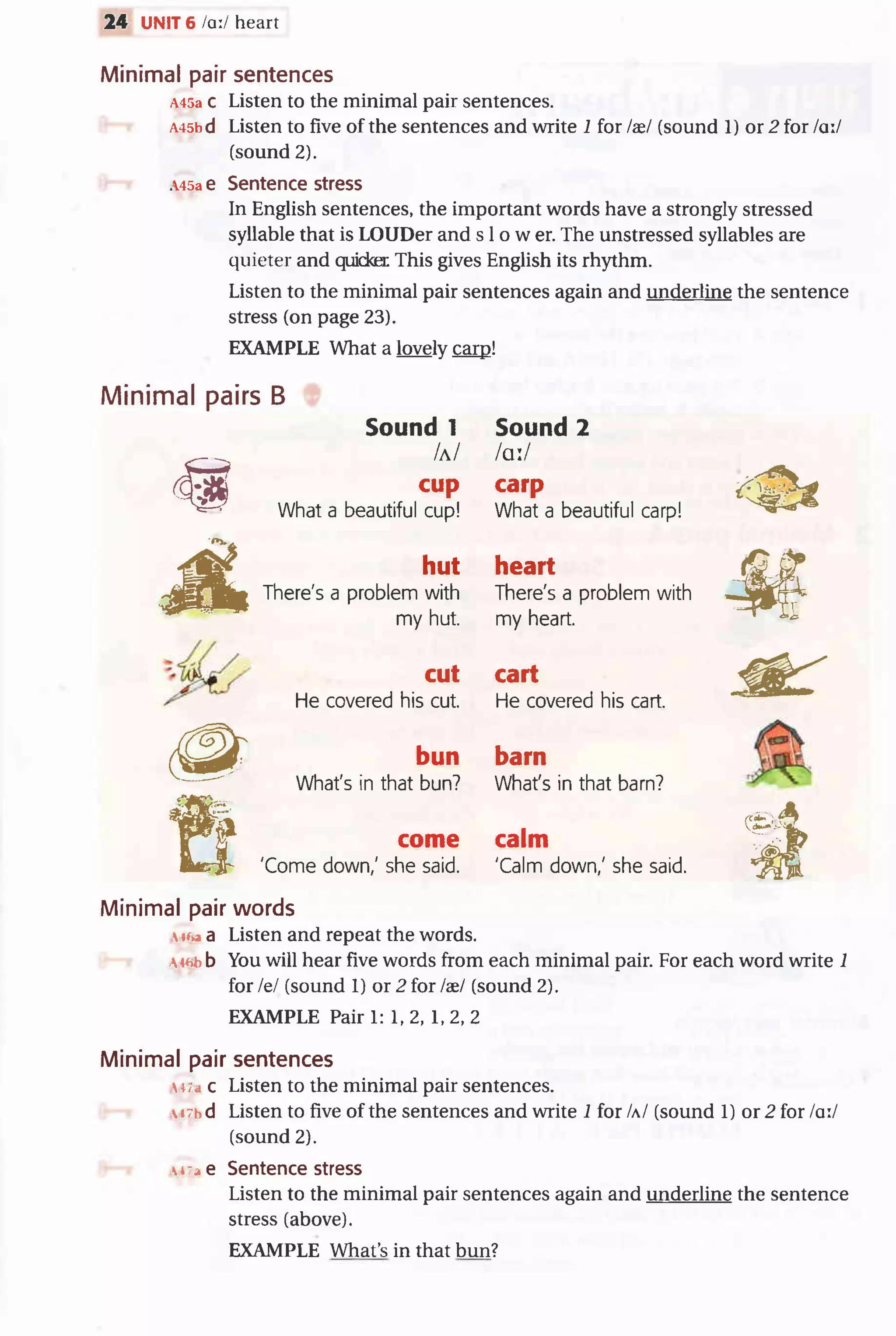 Ship or Sheep? Book BY Ann Baker | PDF