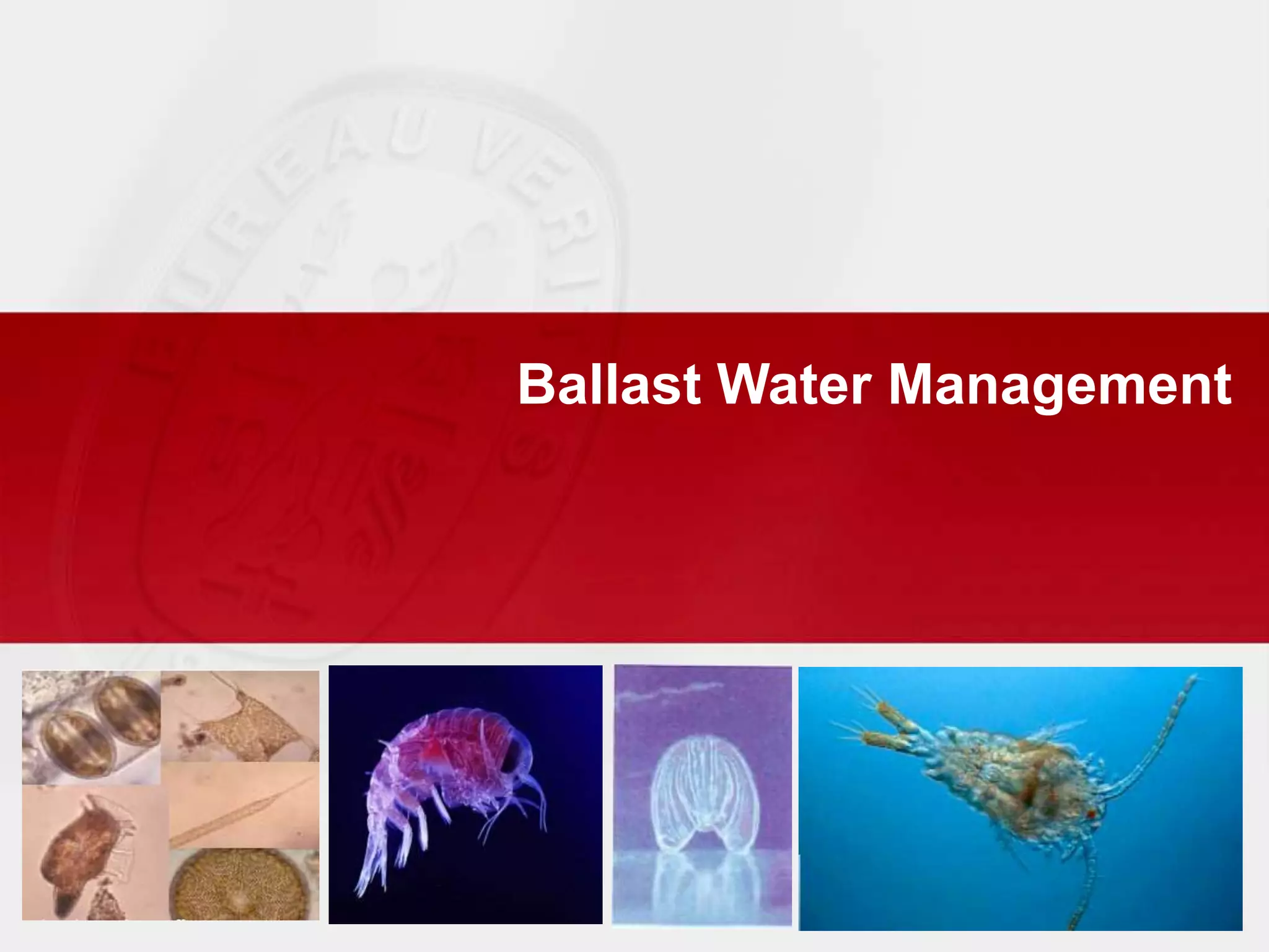 Ship Ballast Water Management.ppt