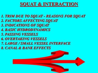 SHIP SQUAT AND INTERACTION EFFECTS PPT.ppt