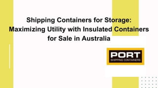 Shipping Containers for Storage_ Maximizing Utility with Insulated ...