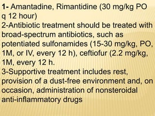 المحاظرة الثالثة / معدية / دكتور اسعد /Shipping fever | PPTX