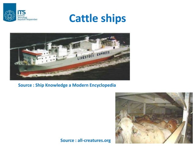 Ship’s types | PPTX