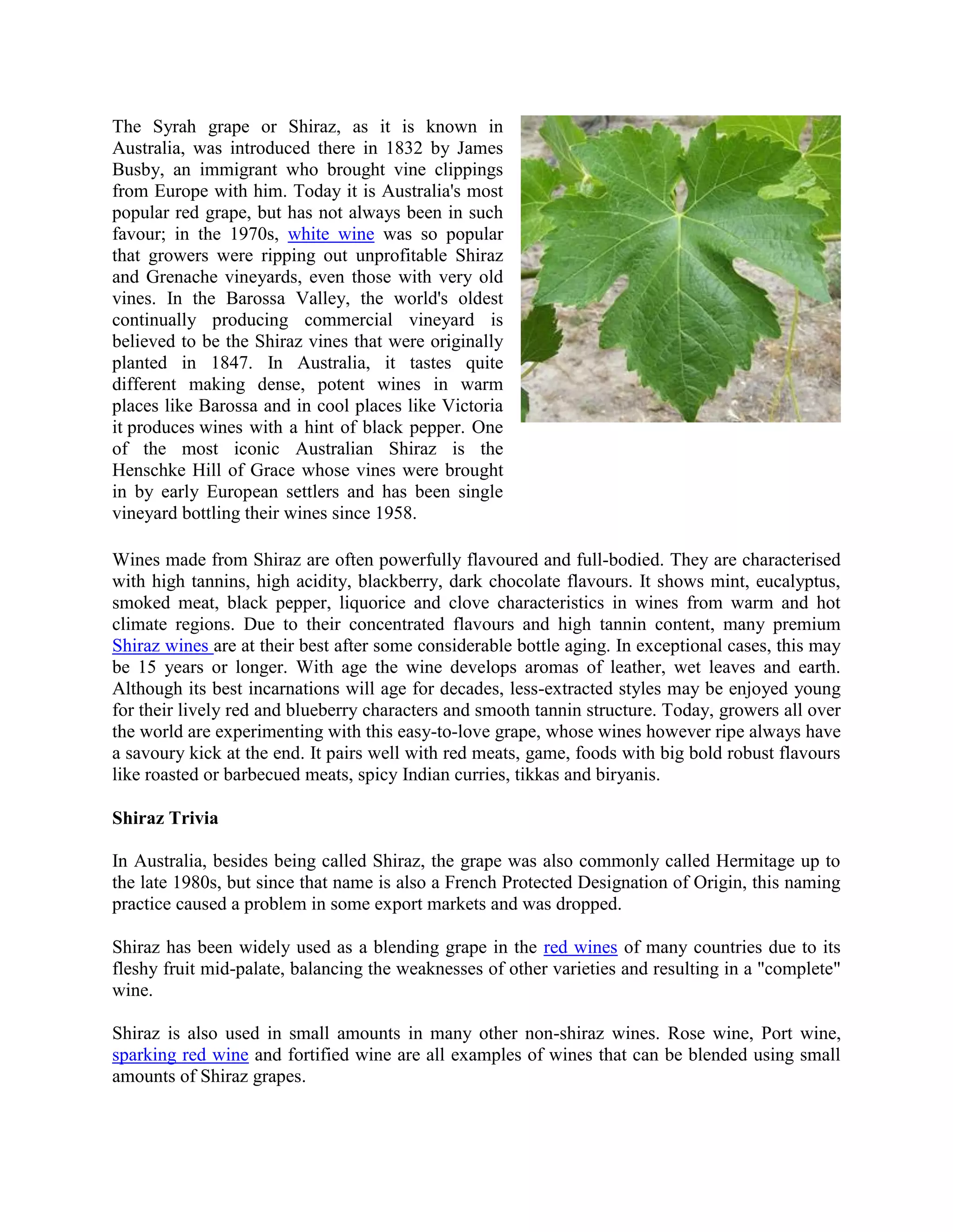 Shiraz | PDF