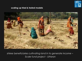 shiree in frame | PPT