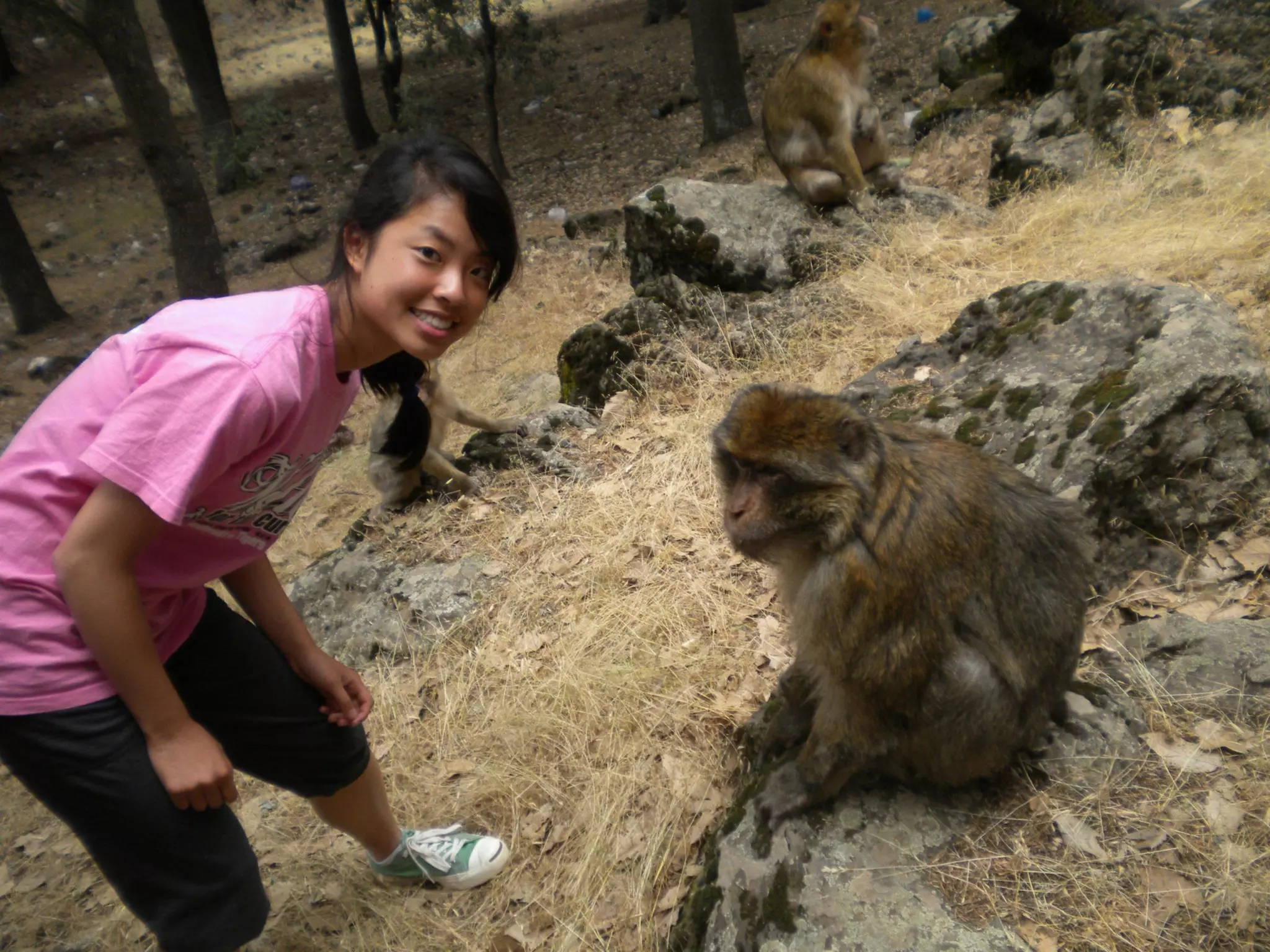 Shirlin 50th-birthday-slideshow | PPT