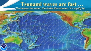 Tsunami Warning at PTWC | PDF