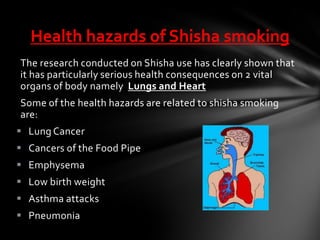 Shisha | PPTX