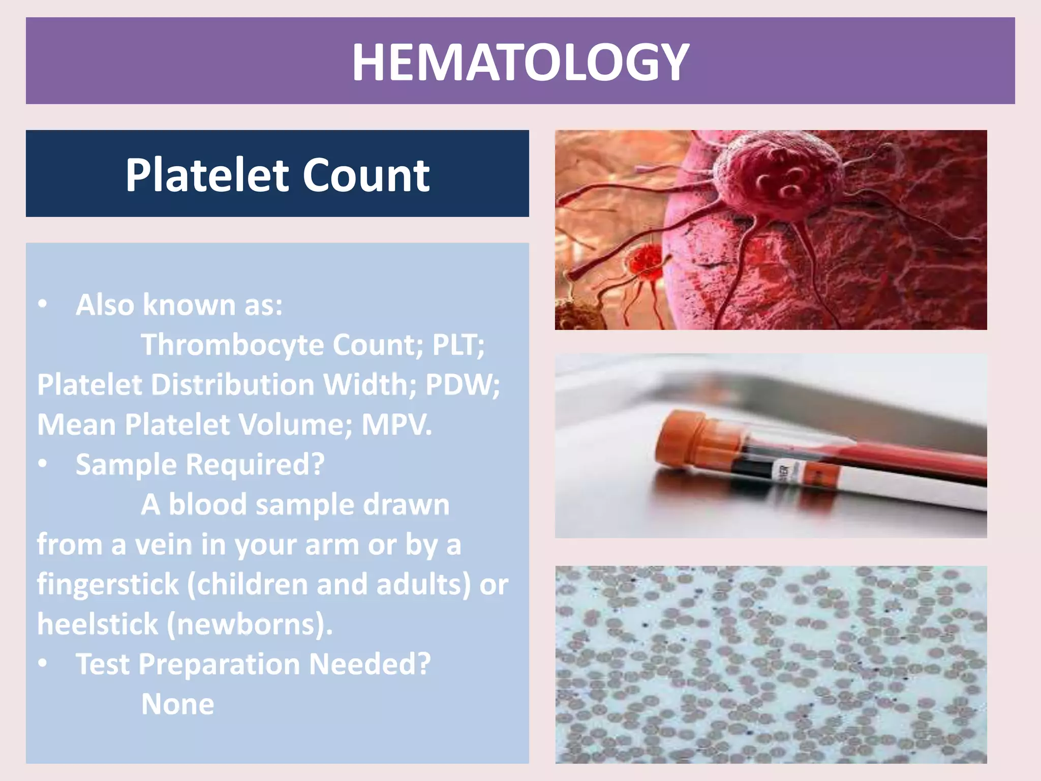 HEMATOLOGY: Laboratory Tests | PPTX | Blood Disorders | Diseases and ...