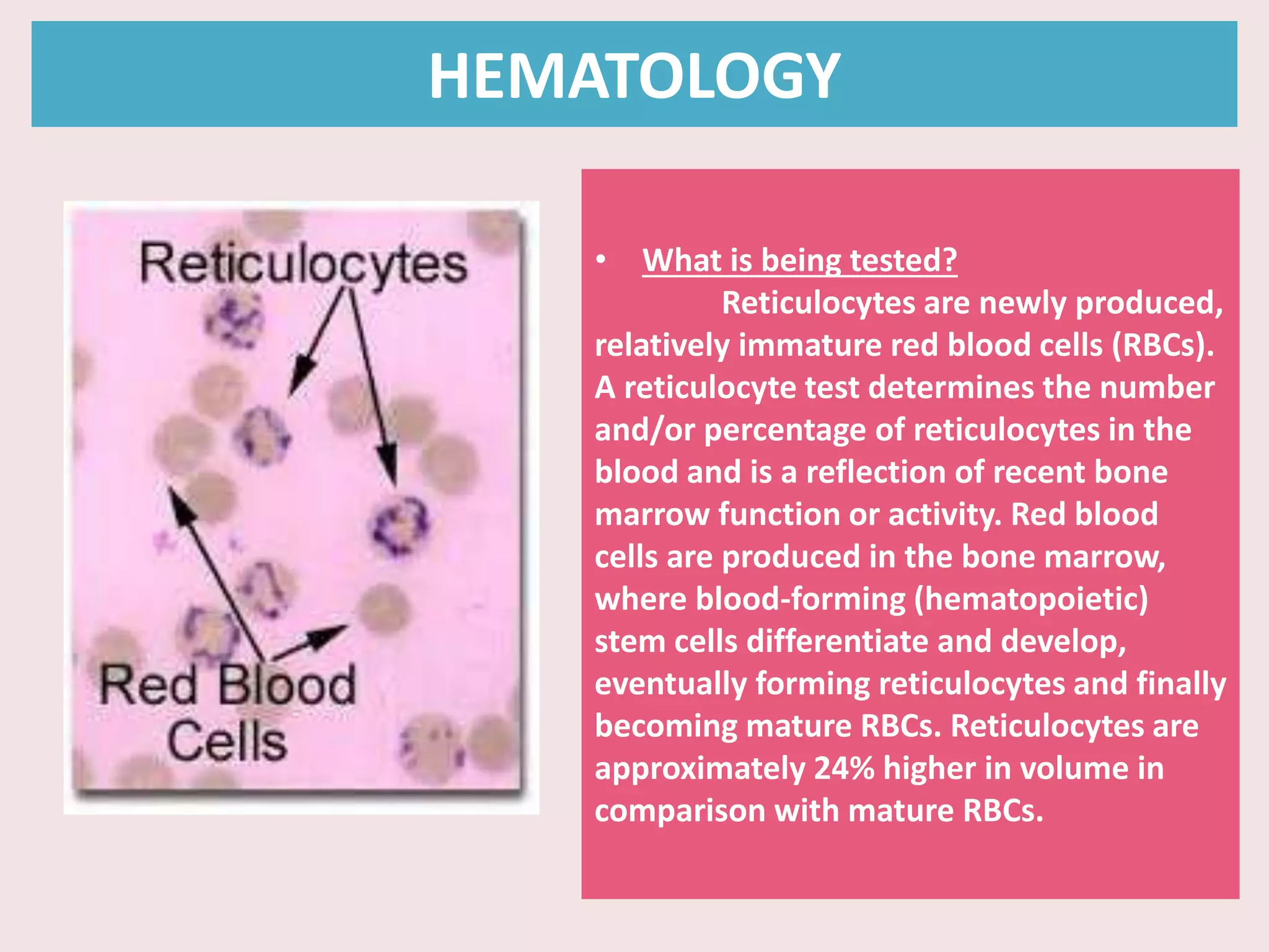 Tests Performed In Hematology | Hematology Test – HVLAN