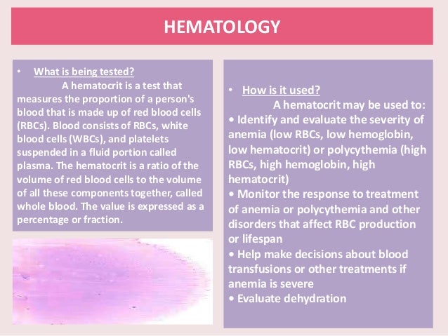 HEMATOLOGY: Laboratory Tests
