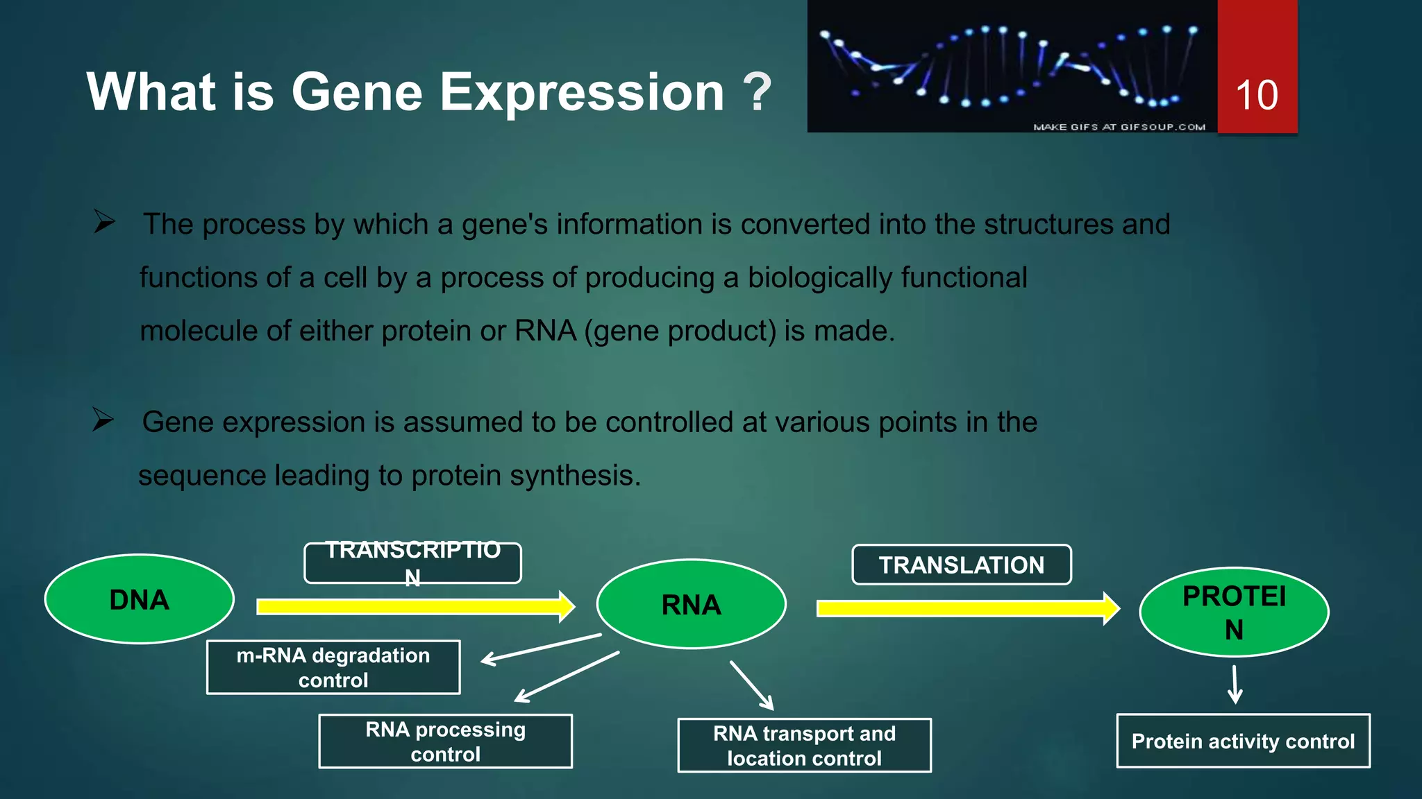 concept of gene and protein synthesis | PPTX