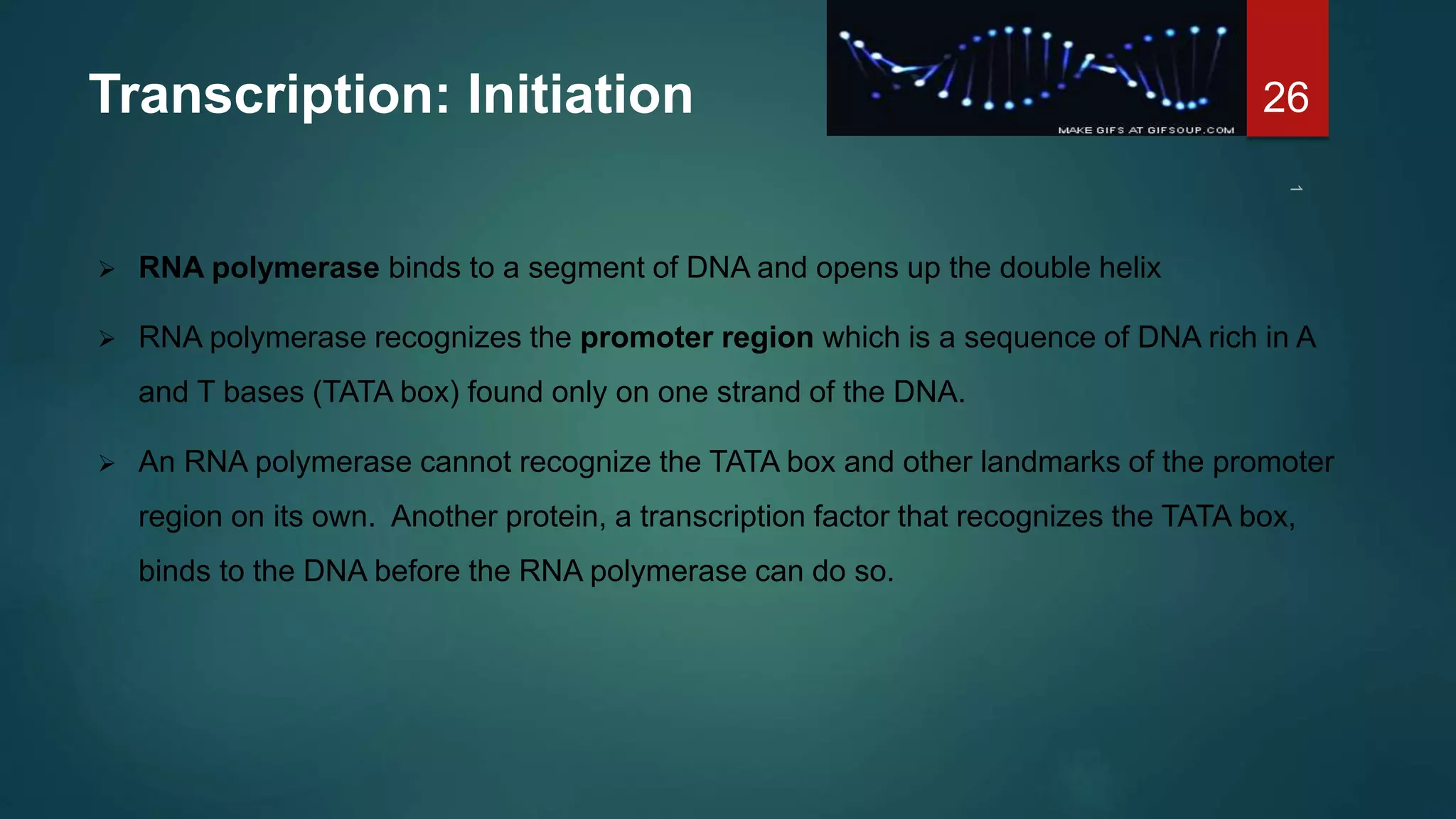 concept of gene and protein synthesis | PPTX
