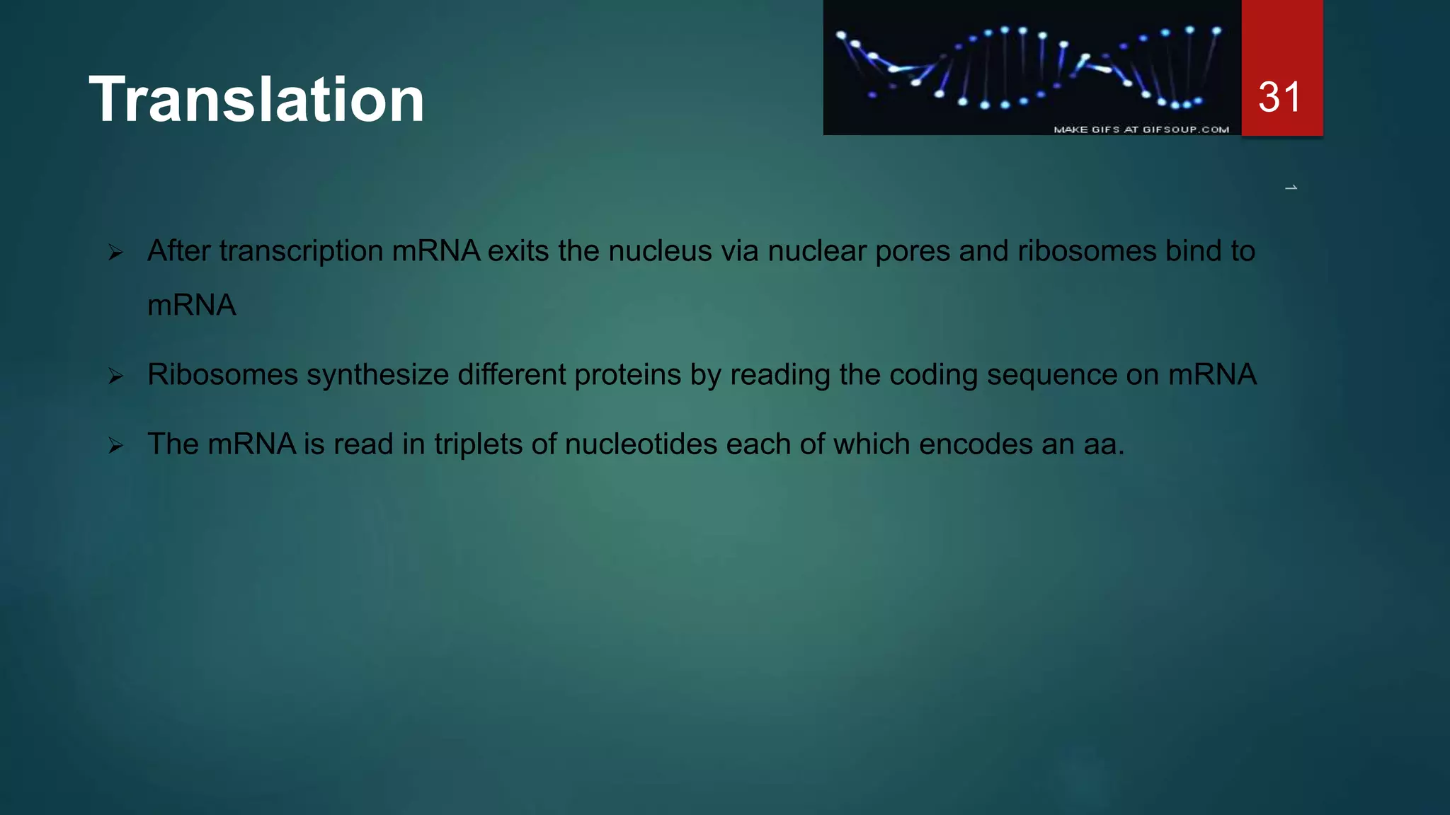 concept of gene and protein synthesis | PPTX | Biological Sciences ...
