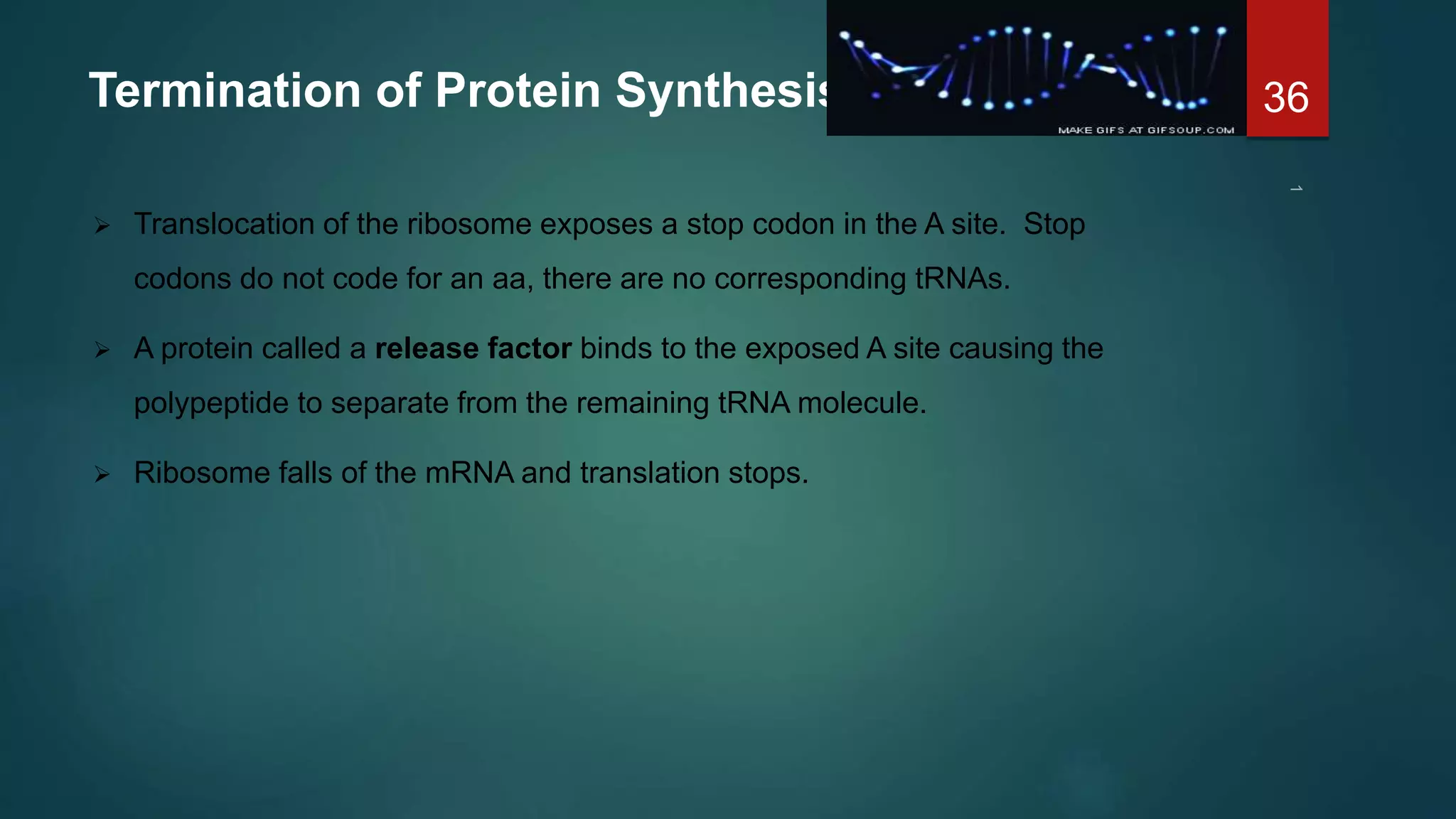 concept of gene and protein synthesis | PPTX