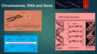 concept of gene and protein synthesis | PPTX | Biological Sciences ...