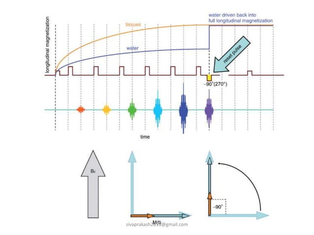 MRI spin echo pulse sequences | PPTX