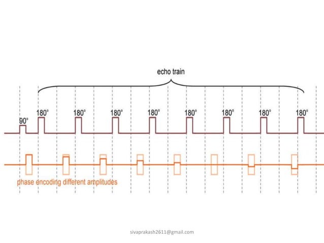 MRI spin echo pulse sequences | PPTX