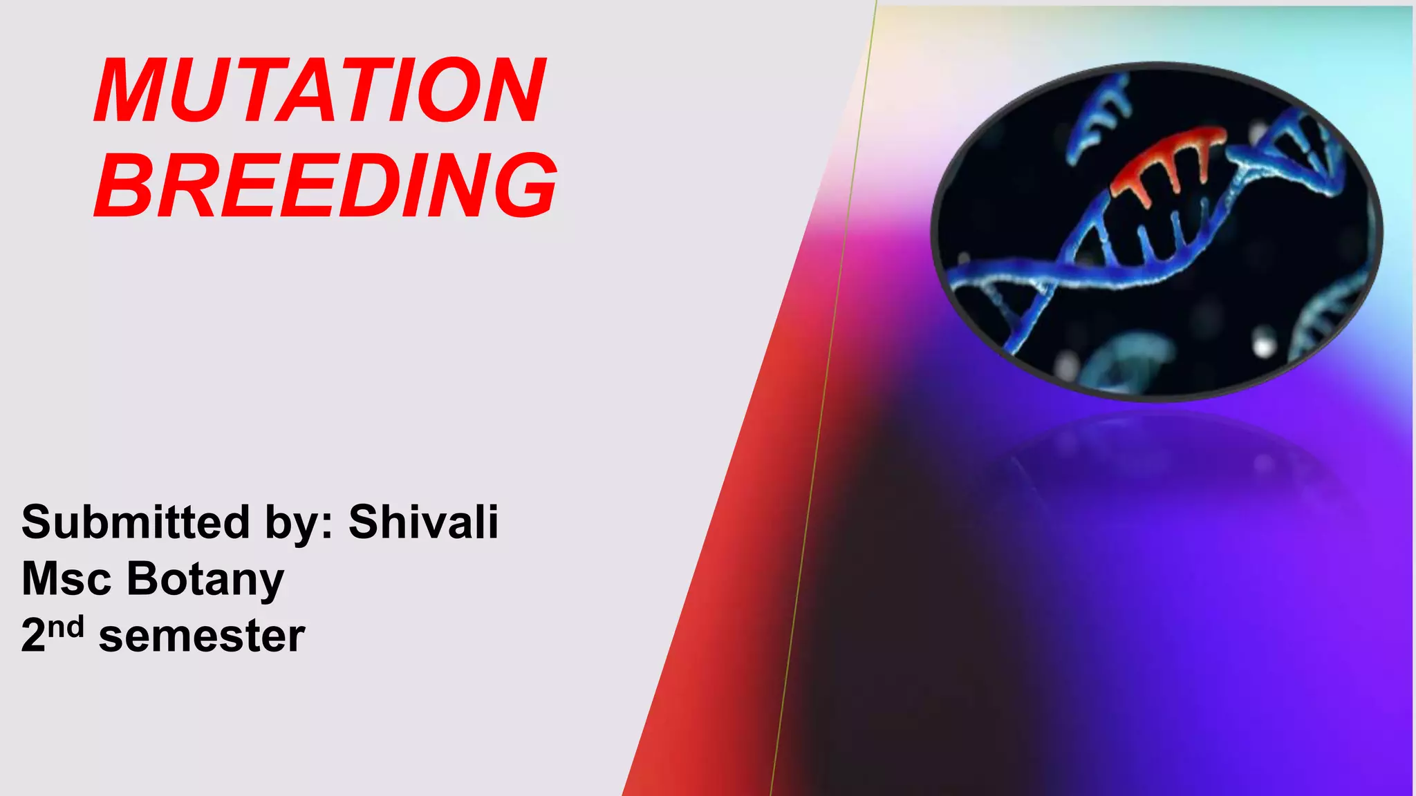 Mutation breeding.pptx