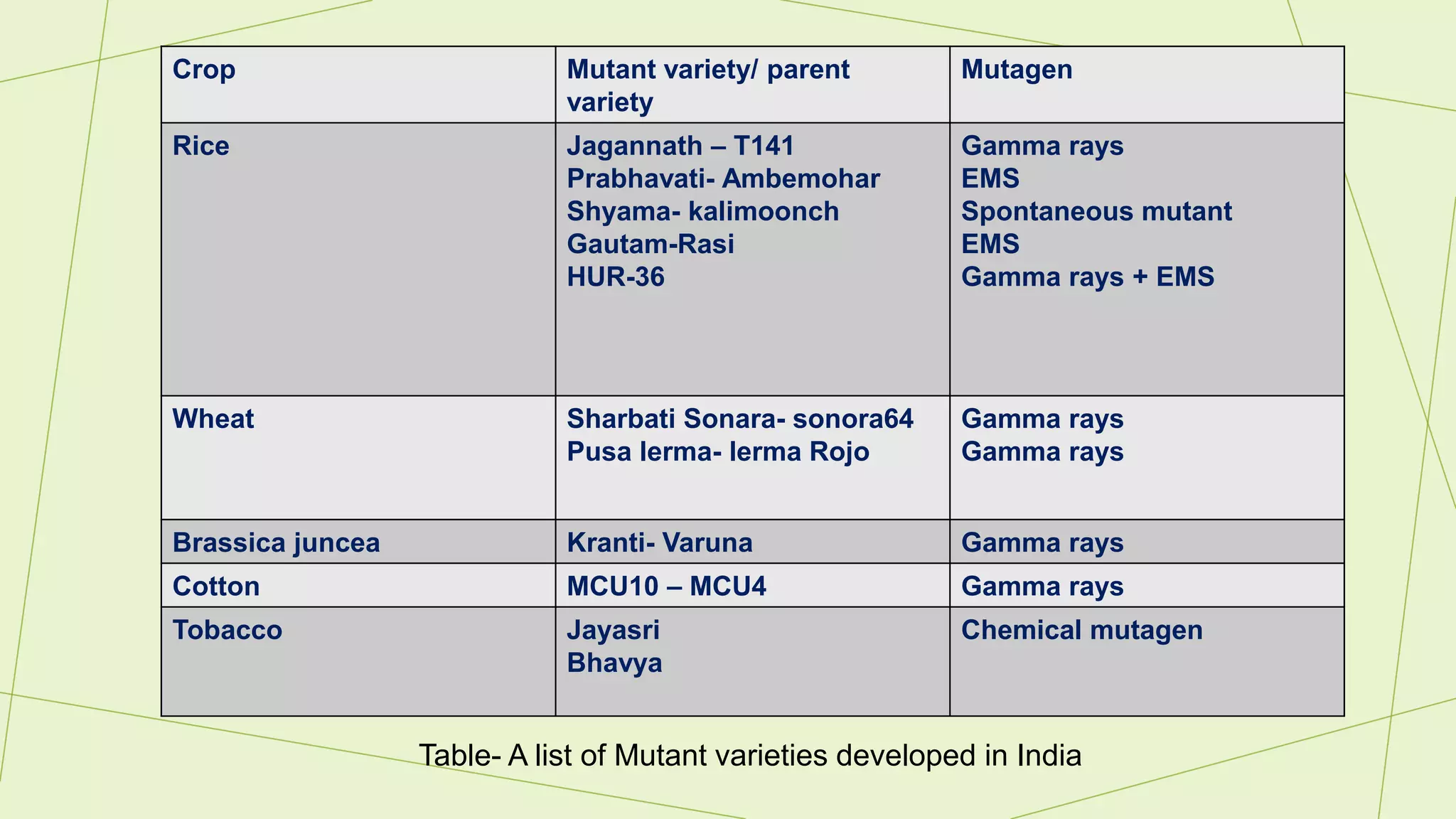 Mutation breeding.pptx