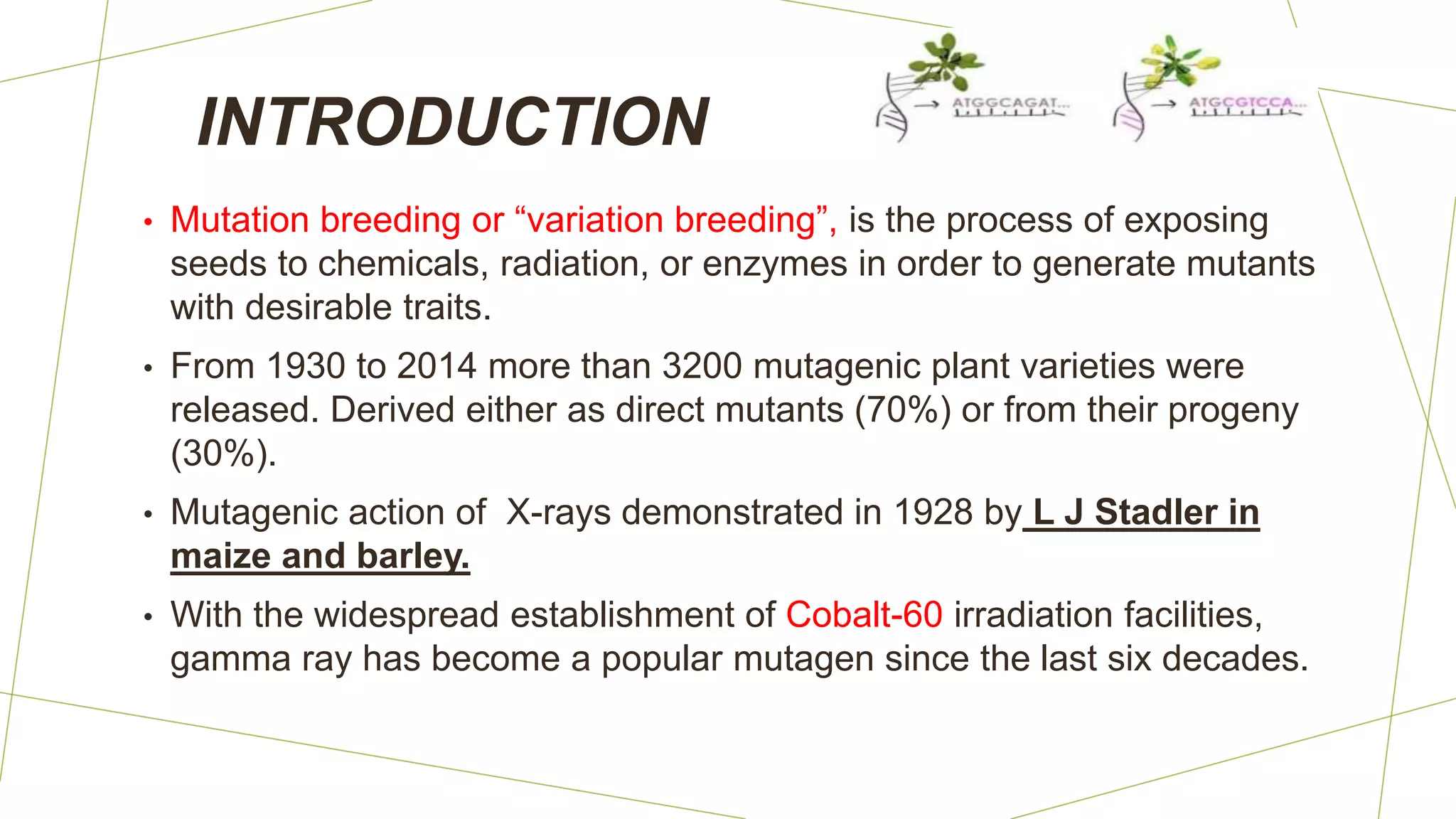 Mutation breeding.pptx