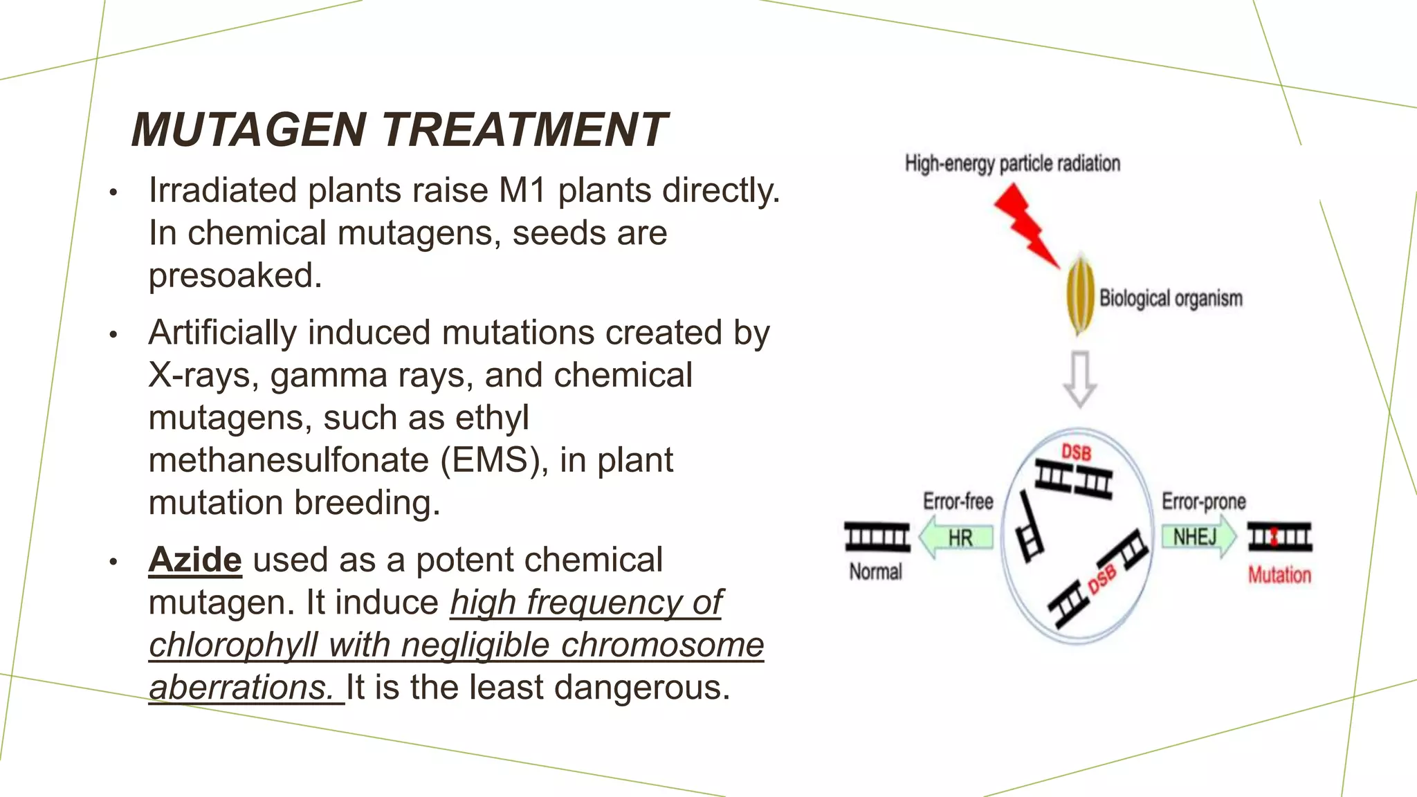 Mutation breeding.pptx