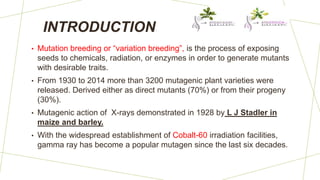 Mutation breeding.pptx