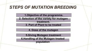 Mutation breeding.pptx