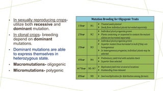 Mutation breeding.pptx