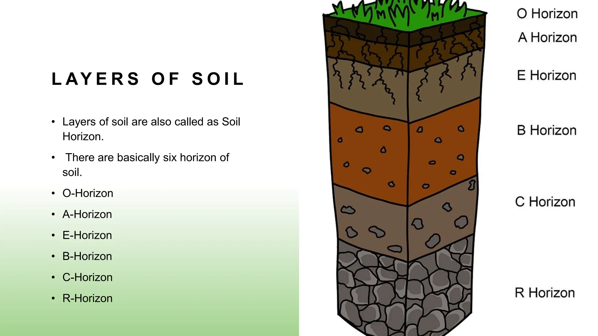 Soil Profile | PPTX