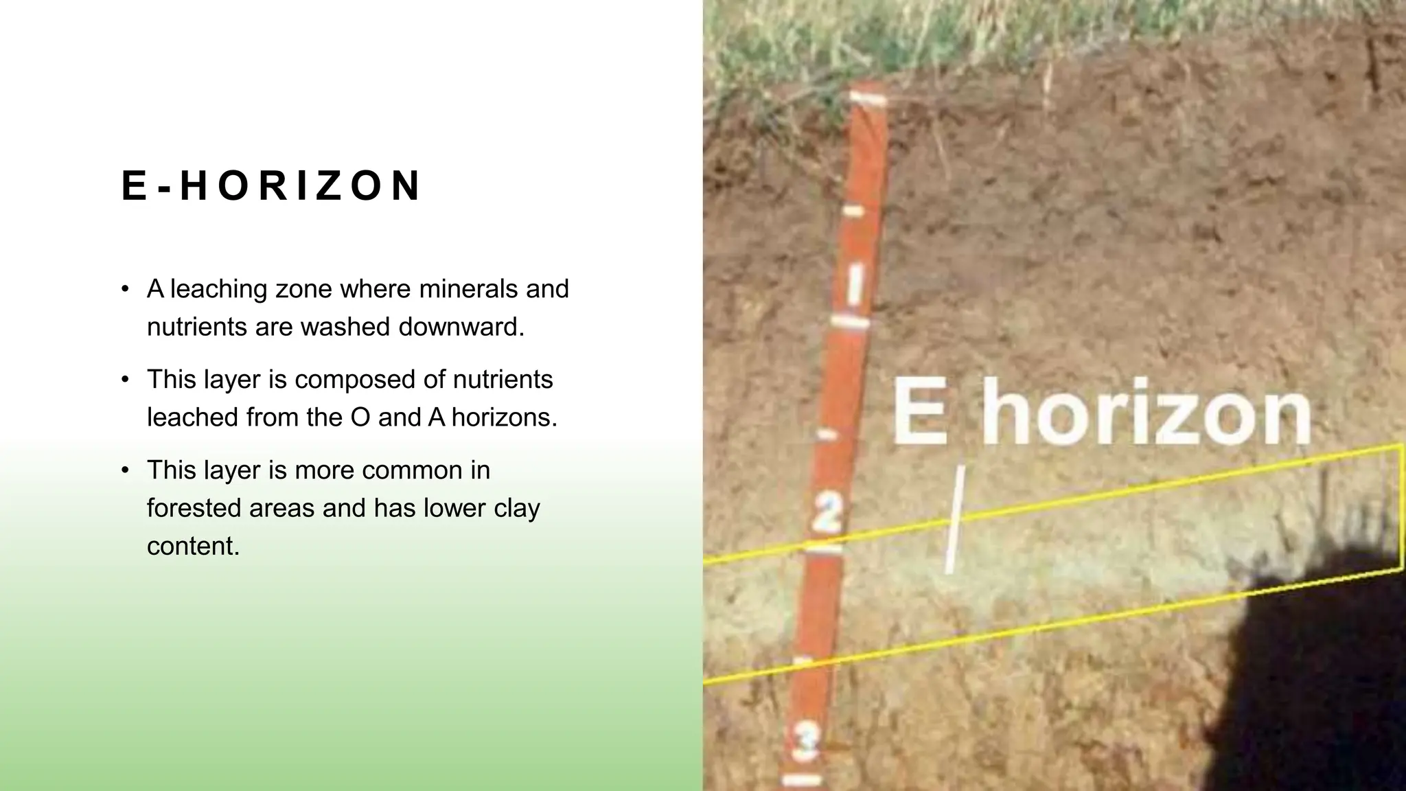 Soil Profile | PPTX