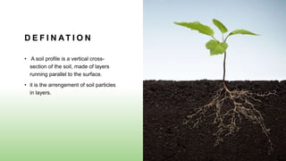 Soil Profile | PPTX