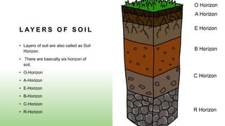 Soil Profile | PPTX