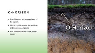 Soil Profile | PPTX