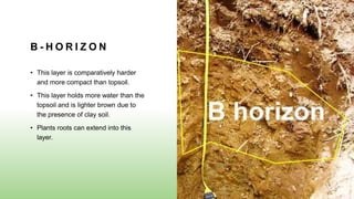 Soil Profile | PPTX