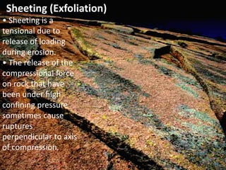 joints and its classification and its recognition | PPTX