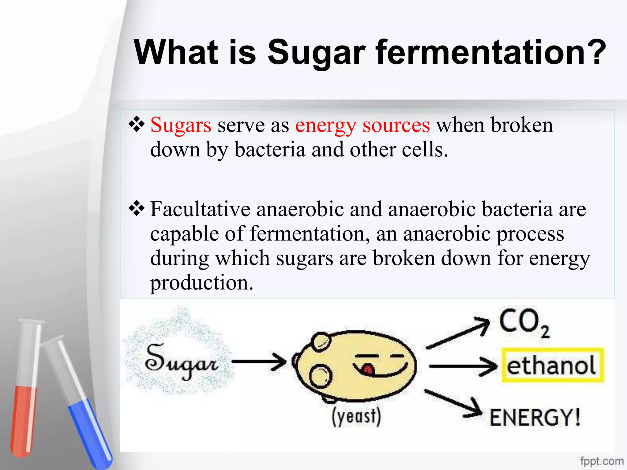Sugar fermentation tests, Cetrimide agar medium, Hugh Leifson medium | PPTX
