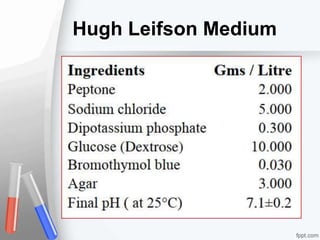 Sugar fermentation tests, Cetrimide agar medium, Hugh Leifson medium | PPTX