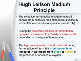Sugar fermentation tests, Cetrimide agar medium, Hugh Leifson medium | PPTX
